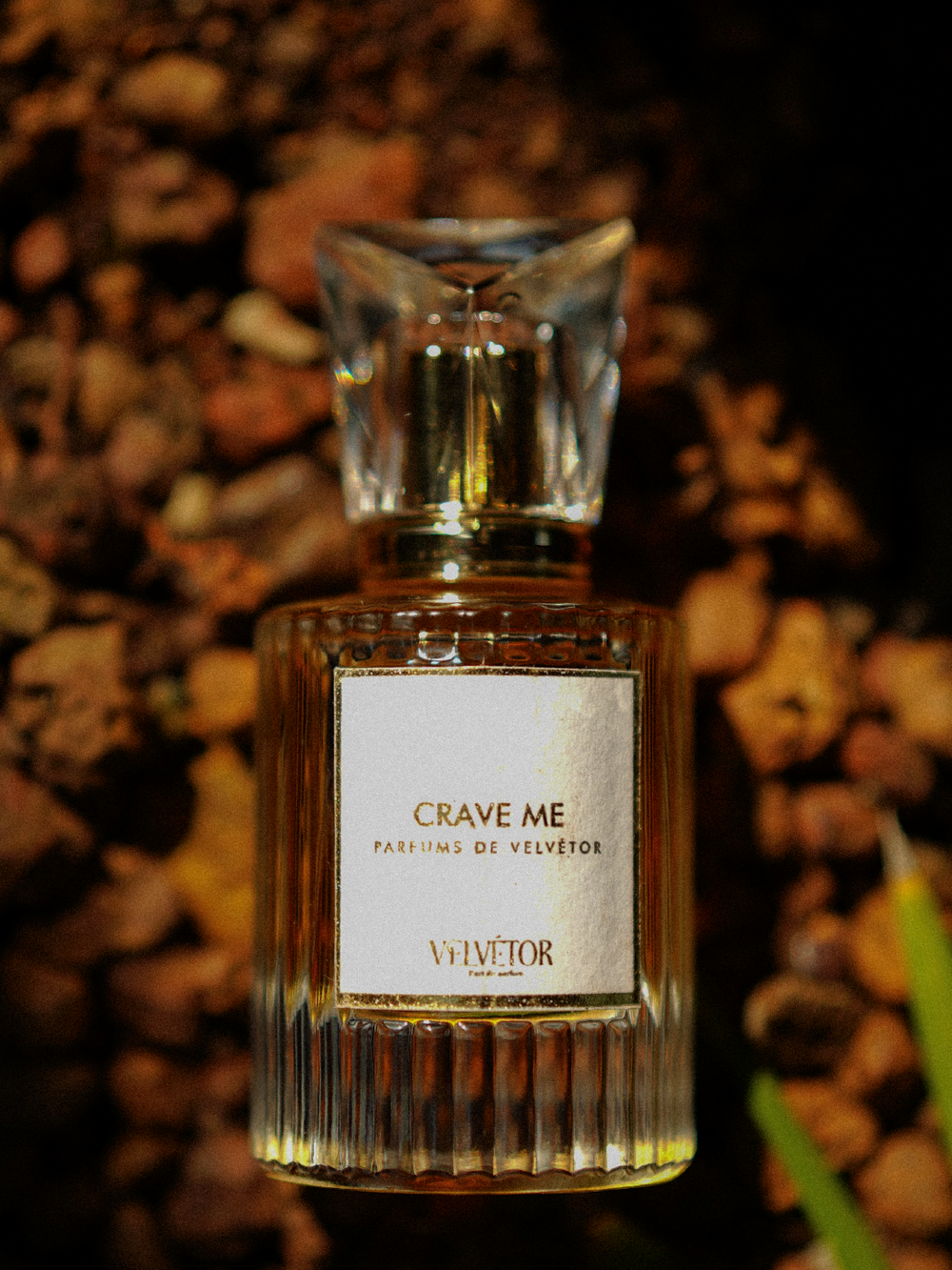 Crave Me - Premium Unisex Luxury Perfume | Velvétor – Velvétor Perfumes